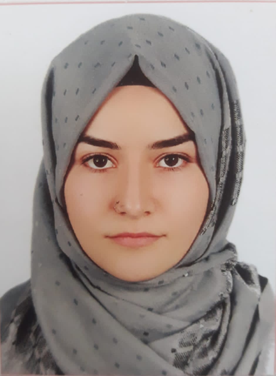 Artistas – Arte pela Paz